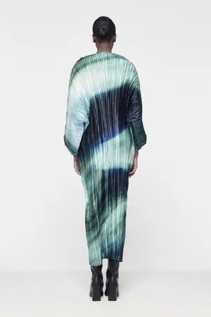 LEEM Printed Plisse Batwing Maxi Dress
