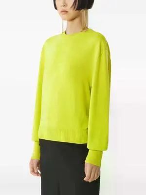 LANVIN Crew-neck Long-sleeve Sweater