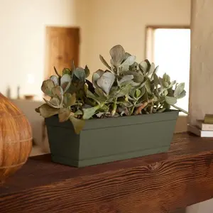 BLOEM 24" Dura Cotta Window Box Planter