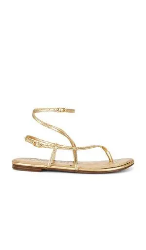 Sam Edelman Clarra Sandal