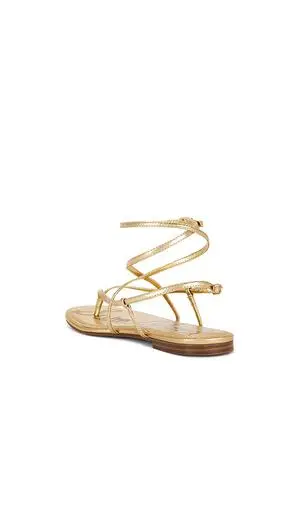 Sam Edelman Clarra Sandal