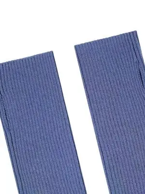 Eric Bompard Ribbed Thumb Mittens - Blue