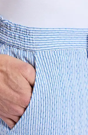 Robert Graham Fornillo Stripe Woven Shorts
