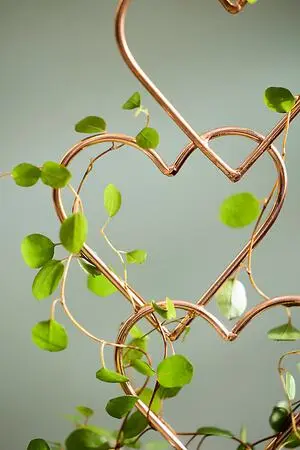 TERRAIN Stacked Hearts Trellis