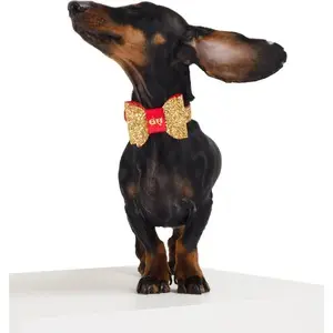MOSHIQA Glam Dog Collar - Gold