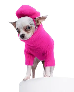 MOSHIQA Dog Sweater And Beret