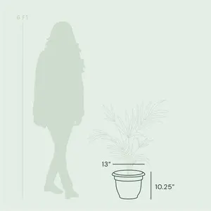 BLOEM Ariana Pot Planter 12 Inch Burnt Resin Pot, Selfwatering