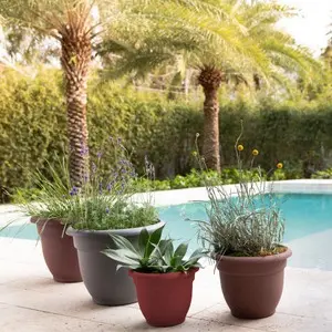 BLOEM Ariana Pot Planter 12 Inch Burnt Resin Pot, Selfwatering