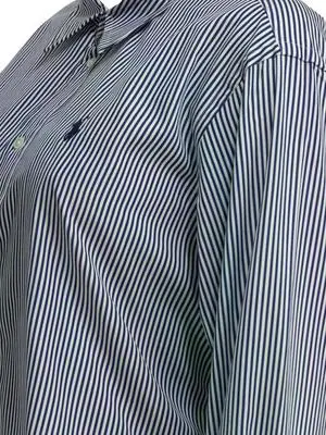 Polo Ralph Lauren Striped Shirt