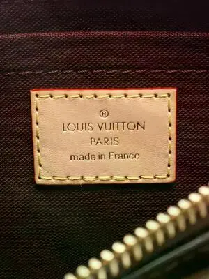 LOUIS VUITTON 2021 Vivacité Monogram Shoulder Bag