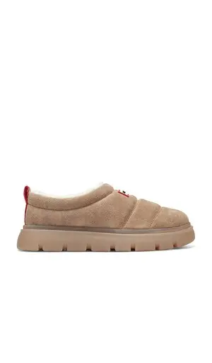 Hunter Madison Mule