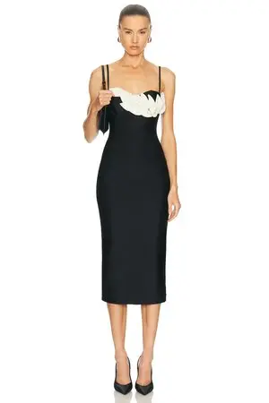 Patbo Flared Dresses