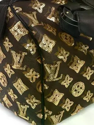 LOUIS VUITTON 30 Speedy Monogram Shoulder Bag
