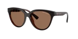 Armani Exchange Sunglasses - Dark Brown