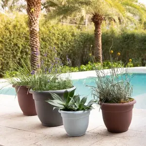 BLOEM 12 Inch Ariana Pot Planter