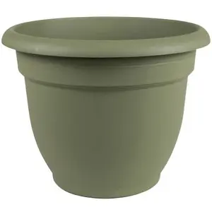 BLOEM 12 Inch Ariana Pot Planter - Green