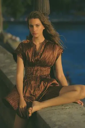 PILCRO Pilcro Silken Pleated Shirtdress Brown Pattern