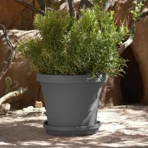 BLOEM 24 Inch Terra Pot Planter
