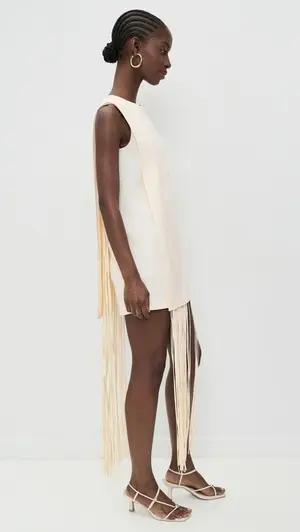 Alexis Mackenzie Sleeveless Fringe Mini Dress
