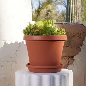 BLOEM 14 Inch Terra Pot Planter