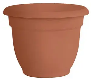 BLOEM Ariana Pot Planter - Brown