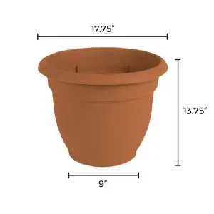 BLOEM Ariana Pot Planter