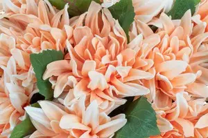 COCOBELLA Livia Realtouch Dahlia Arrangement - Peach