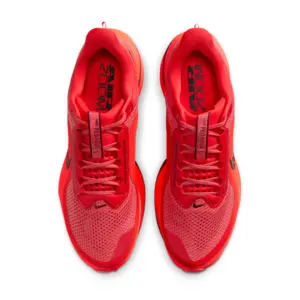 Nike Pegasus Premium Road Running Shoes