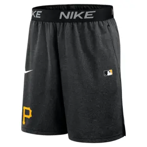 Nike Stretch Shorts For Men