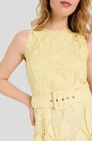 TAHARI ASL Sleeveless Belted Fit & Flare Dress