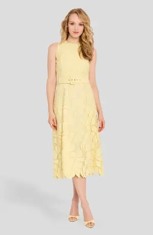 TAHARI ASL Sleeveless Belted Fit & Flare Dress