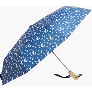 Coach Umbrellas
