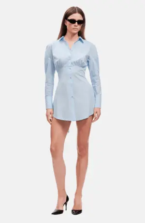 OW Elia Shirt Dress