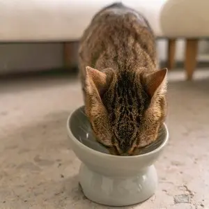 DEXYPAWS Elevated Ceramic Cat Bowl