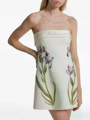 Alberta Ferretti Strapless Floral Print Dress - Neutrals