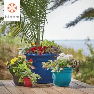 BLOEM Ariana Self Watering Planter 16 Inch