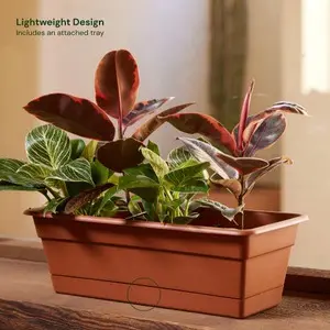 BLOEM 18 Inch Dura Cotta Window Box Planter
