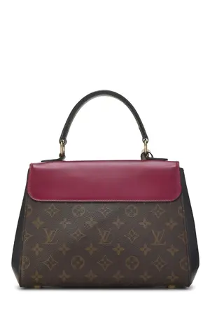 LOUIS VUITTON Monogram Cluny - Brown