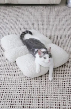 CATENARY Bouclé Pebble Cat Bed