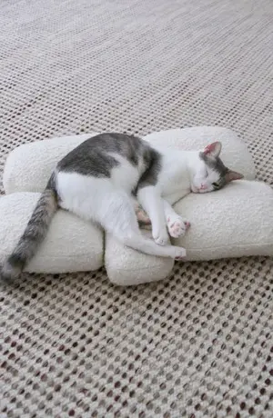 CATENARY Bouclé Pebble Cat Bed