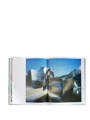 FLAMMARION Frank Gehry Masterpieces Book