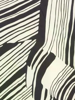 Raquel Diniz Patterned Scarf