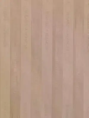 Elisabetta Franchi Logo-pattern Scarf