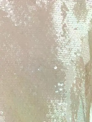 NICCOLO PASQUALETTI Sequinned Sleeveless Top