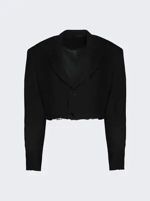Balenciaga Long Sleeve Outerwear For Women