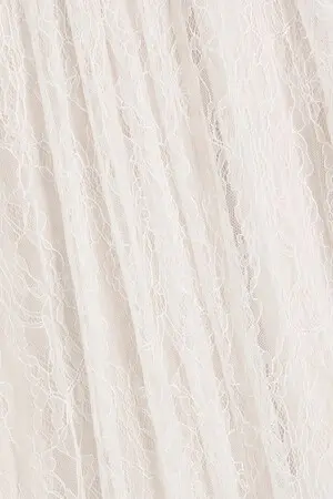 Alice + Olivia Delia Ruffled Corded Lace Mini Dress