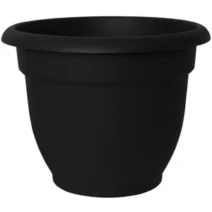 BLOEM 12 Inch Ariana Pot Planter - Black