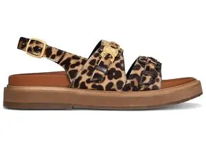 Celine Tippi Triomphe Leopard Print Sandals