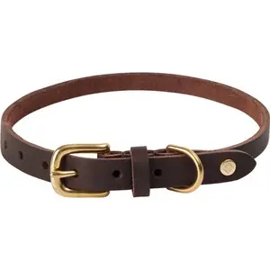 OYOY Robin Dog Collar - Choko