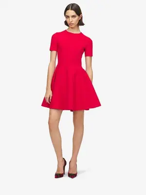 Alexander McQueen Fit And Flare Mini Dress - Red